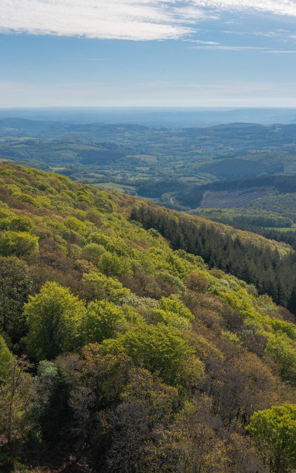The most beautiful viewpoints on the Morvan | Office de tourisme d ...